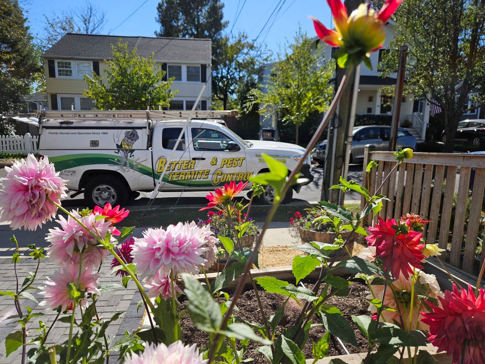 How Much Does Pest Control Cost? 2025 Service Price Guide